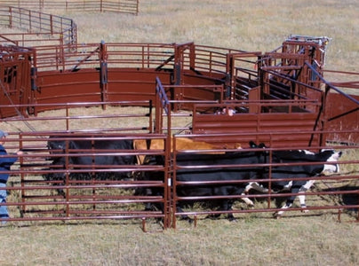 HiQual Crowding Alley — Bison Supply